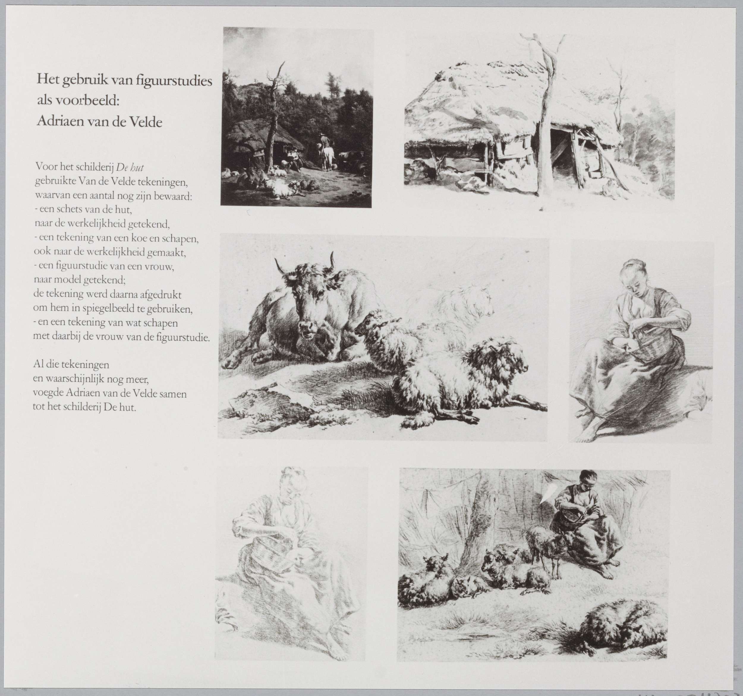 Informative text with images of drawings calle | CanvasPrints.com