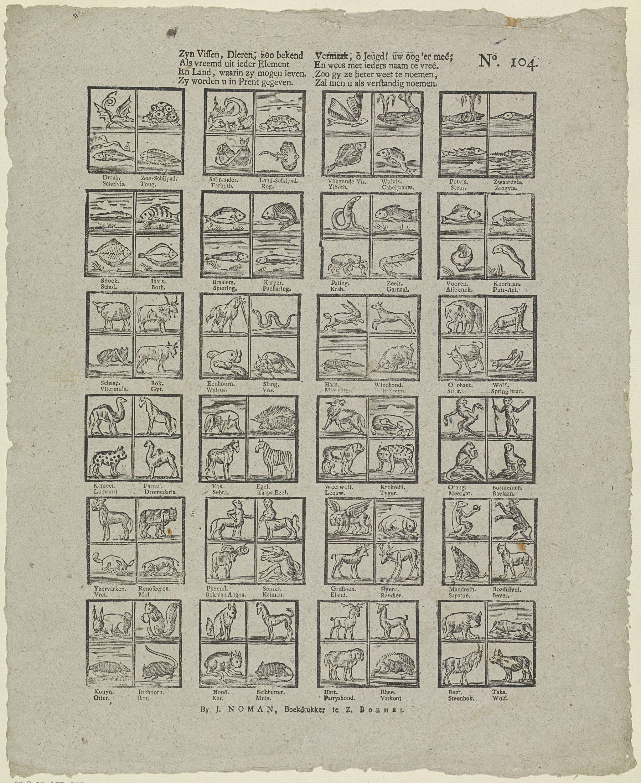 Zyn fish, animals; so well known / As strange | CanvasPrints.com