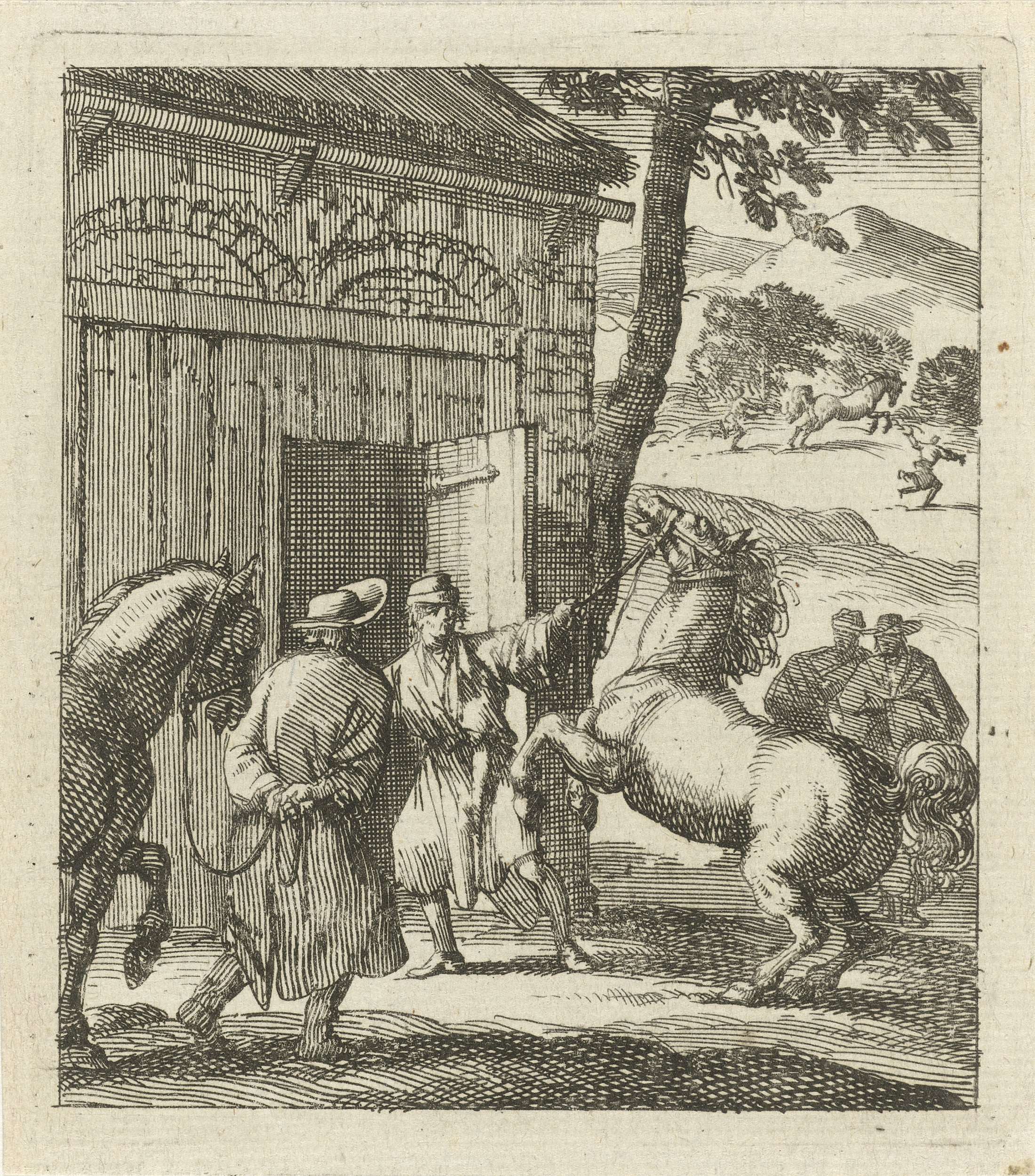 Man houdt steigerend paard aan de teugels, Jan | CanvasPrints.com