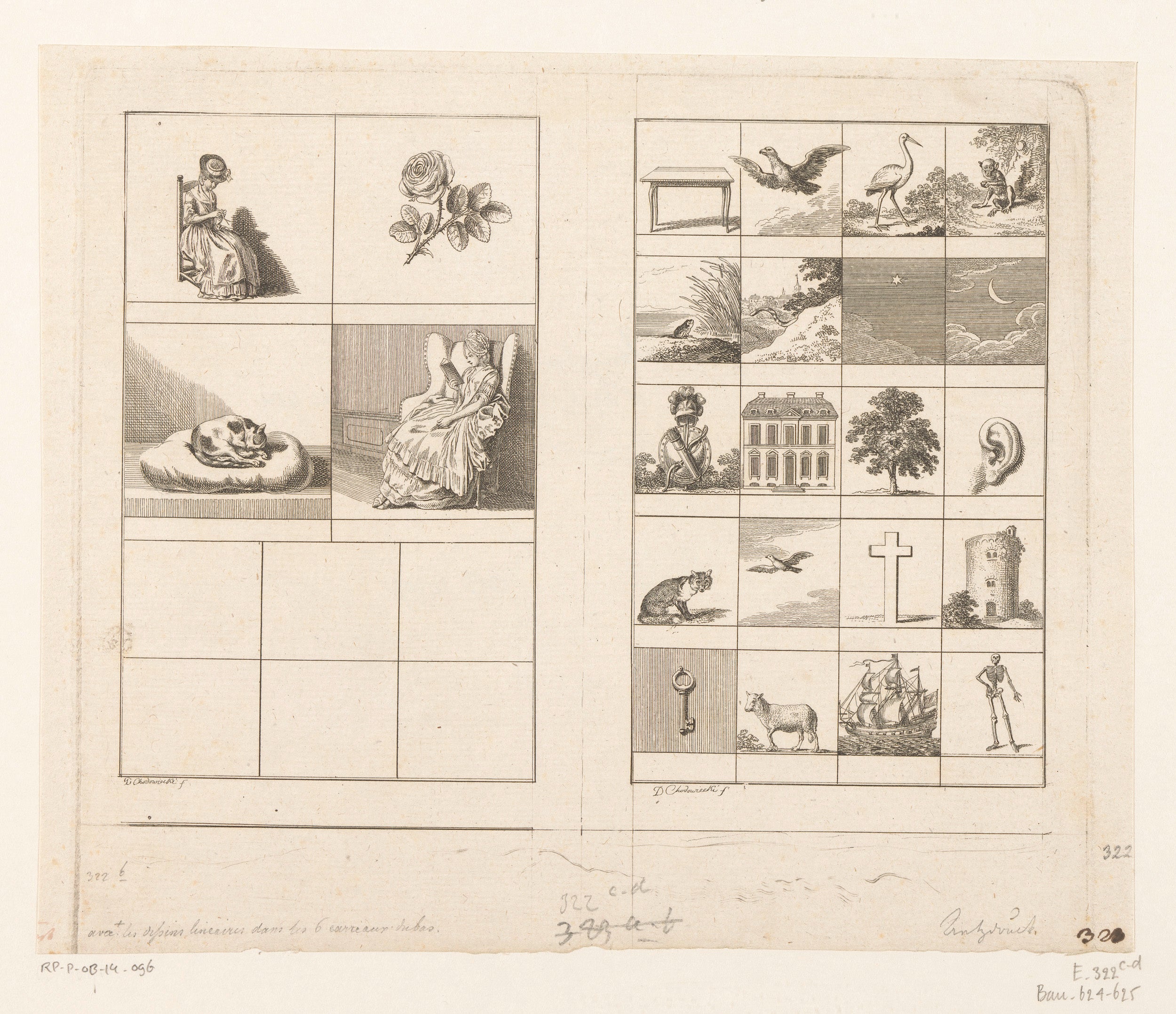 Examples of female nouns in Latin (femina), Da | CanvasPrints.com