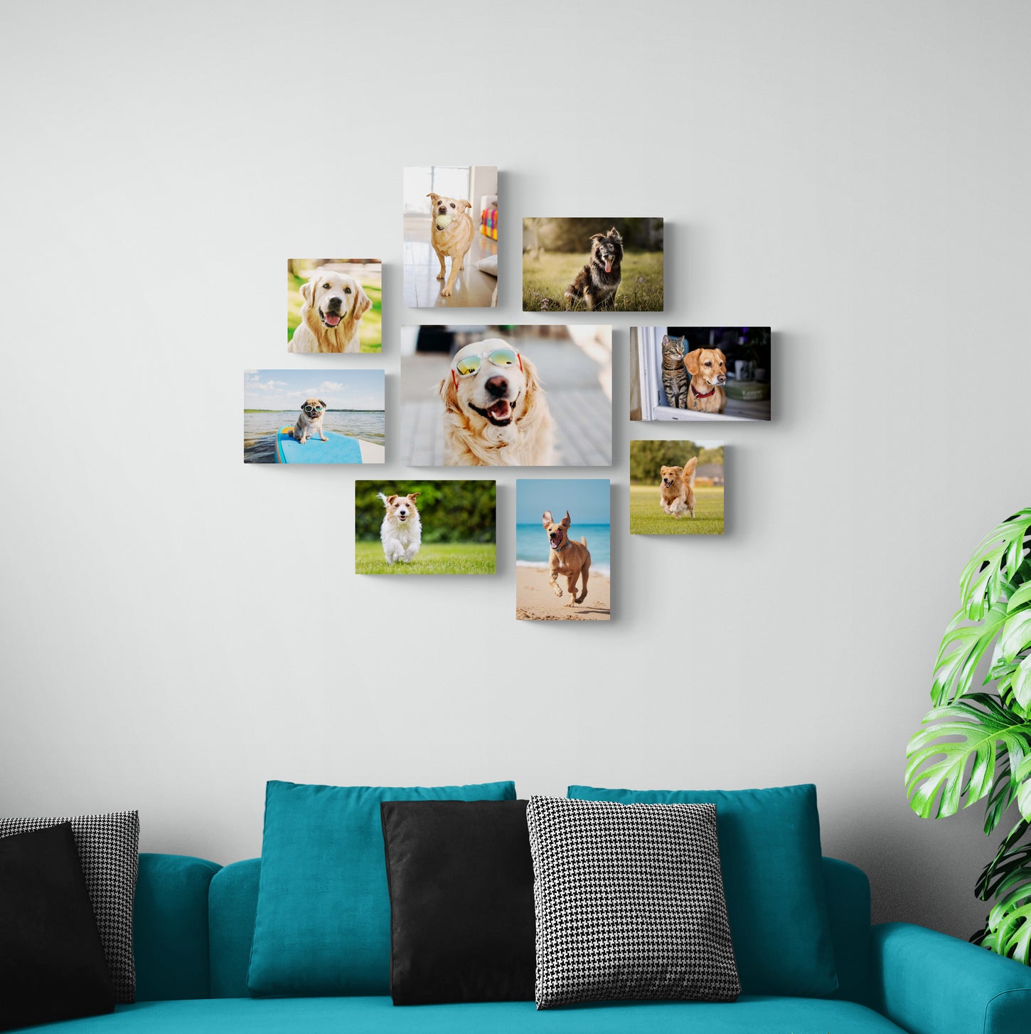 Catawba Canvas Print Wall Display | CanvasPrints.com