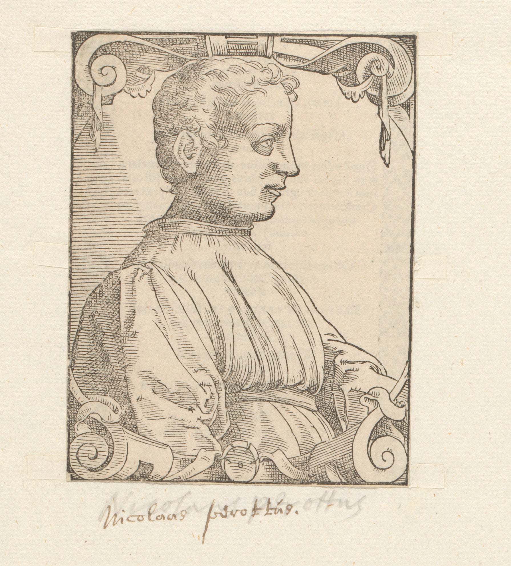 Portrait of Niccolò Perotti, anonymous, 1549 - | CanvasPrints.com